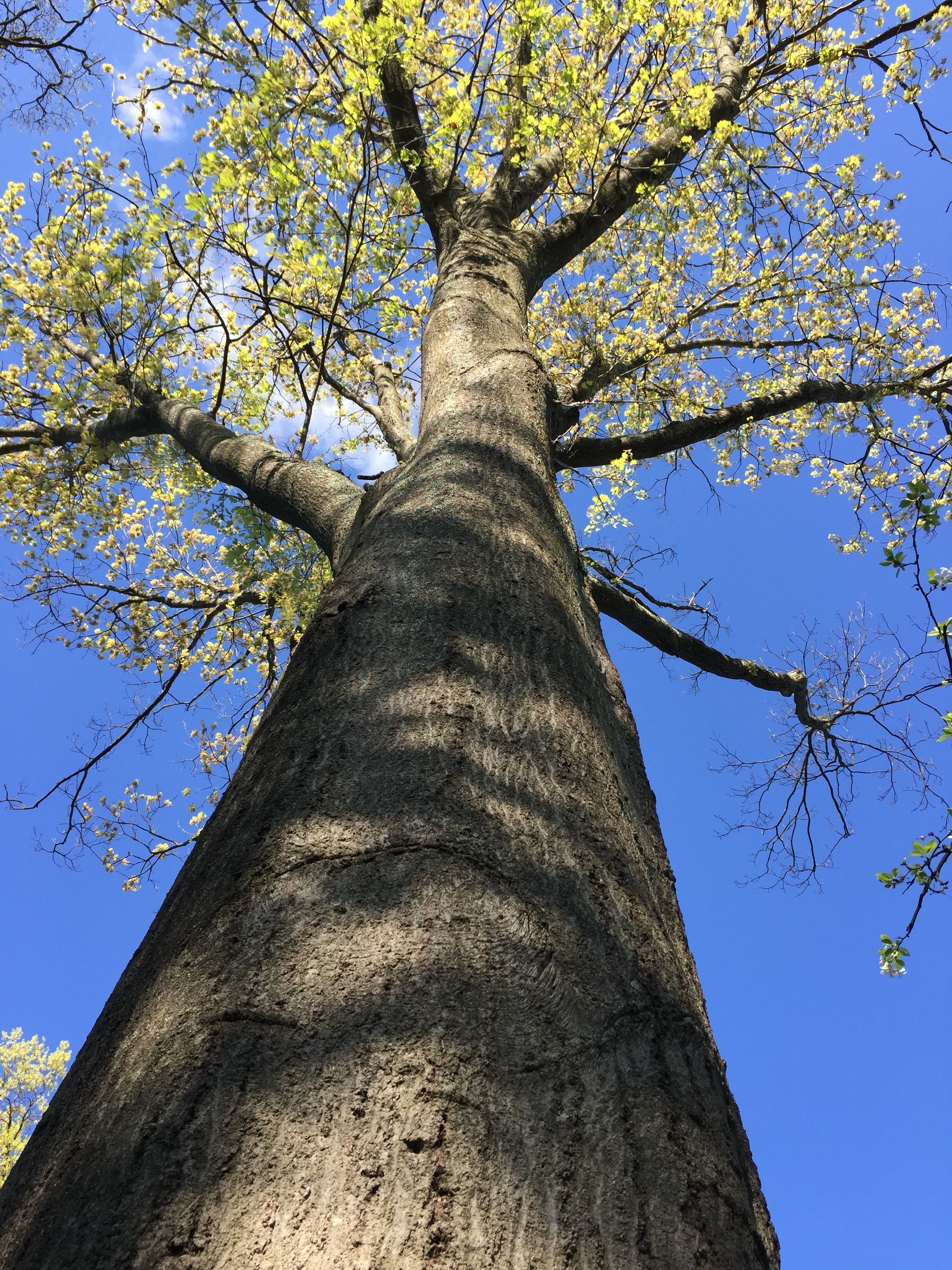 155. Seize the Moment: March Winds and April Showers Bring Forth May ...